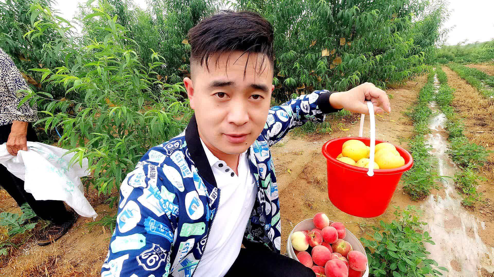 去亲戚家摘桃子,桃子都烂得所剩无几,那么一大片地就摘了几筐子