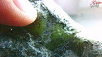 来睹石实战113(上下)-会卡蜡皮,水头长, 有癣飘花的翡翠赌石