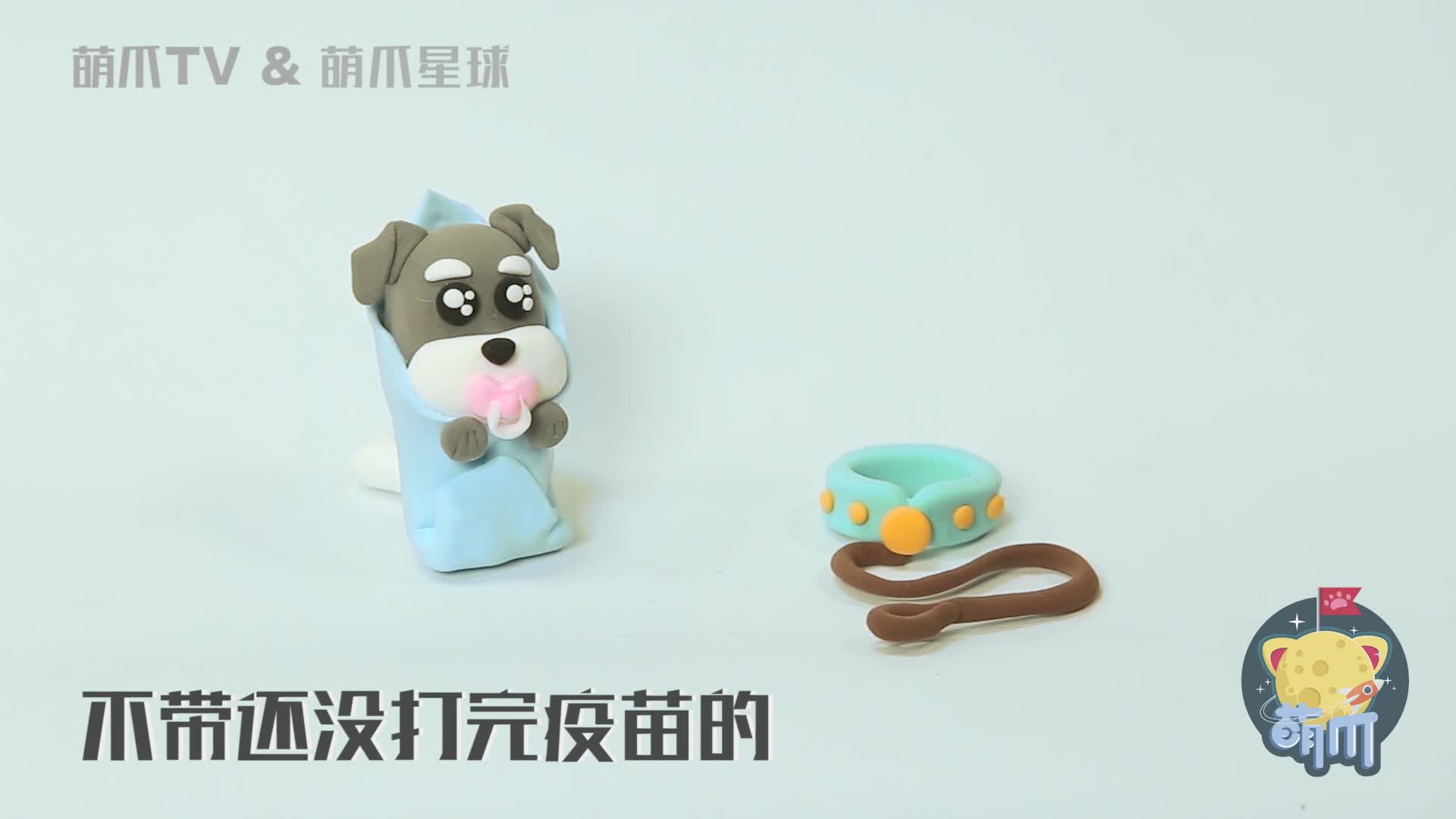 两分钟带你了解细小病毒,远离狗狗杀手