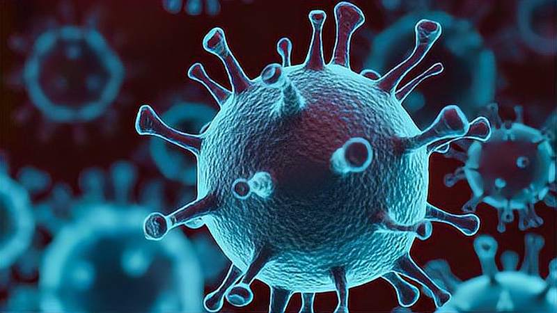 预防新冠病毒肺炎饮食:疫情期间感冒发高烧后吃什么食物好