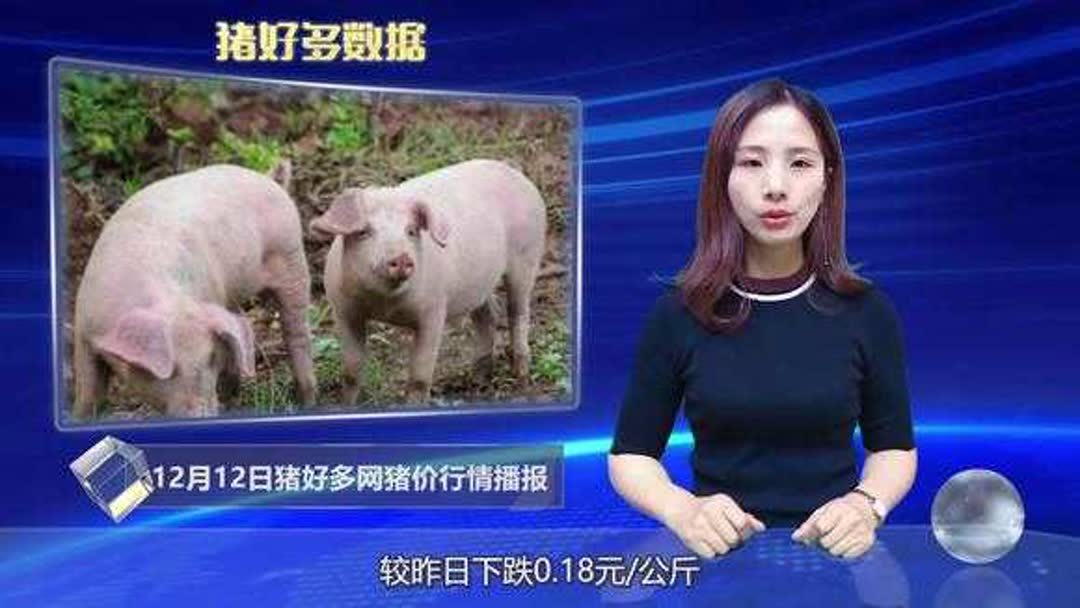 12月12日猪价行情:猪肉现“零售指导价”,猪价还能涨吗?