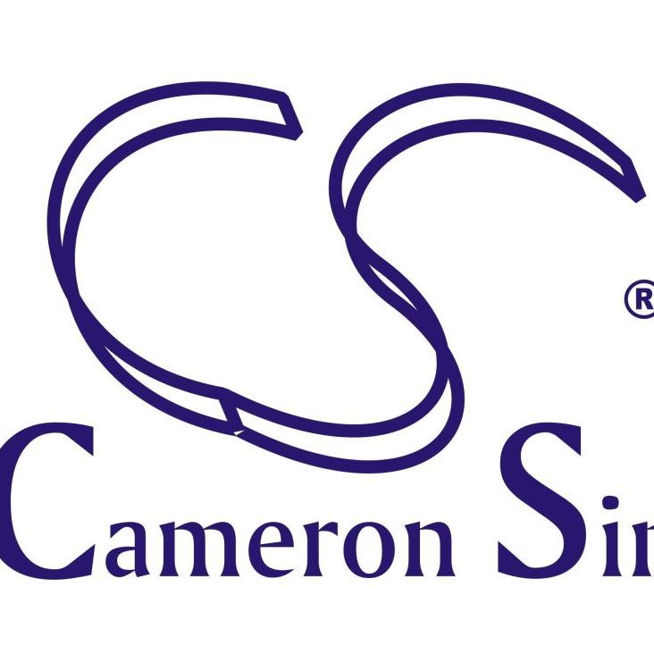 CameronSino 