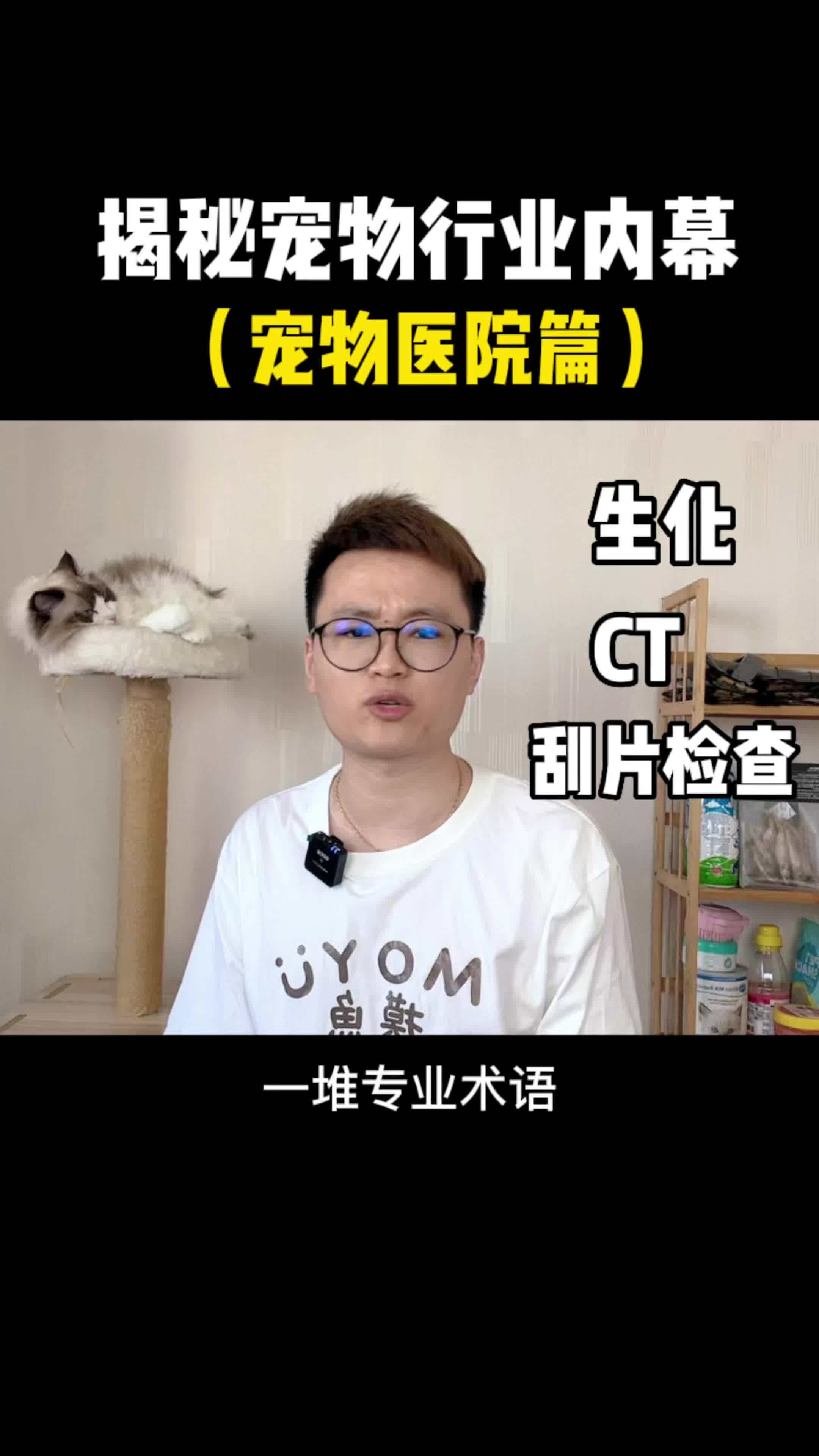 揭秘宠物行业内幕之宠物医院篇