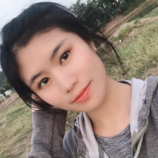 大老陈在老挝 