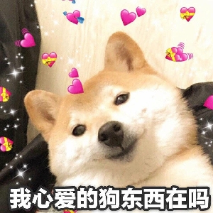 肉多仙子 
