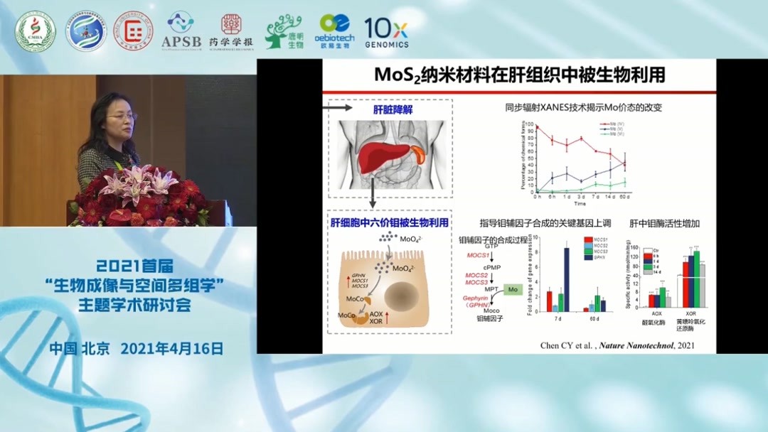空间代谢组:同步辐射技术相关的成像分析和应用