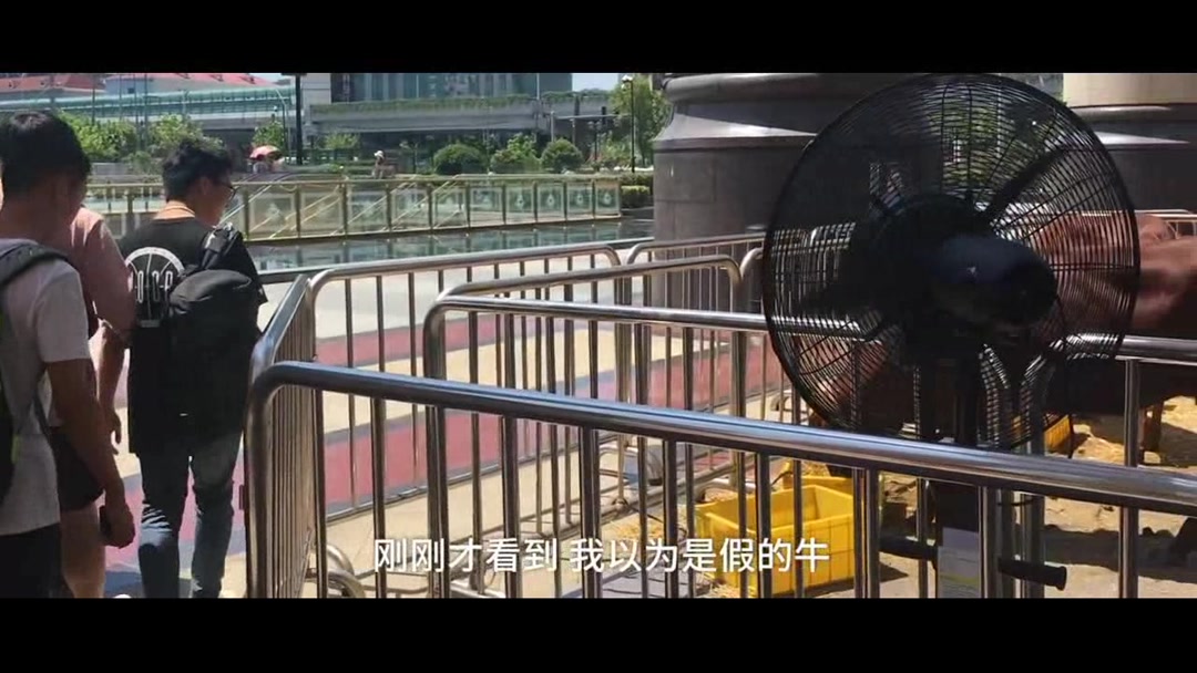 等织女?商场迎七夕,门口养牛郎