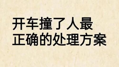 开车撞了人最正确的处理方案