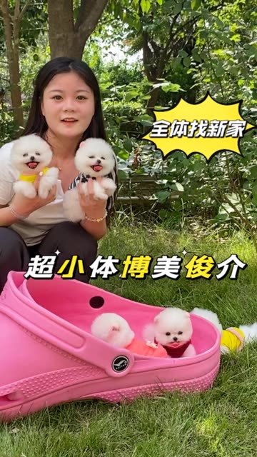 喜欢什么样的都可以告诉我哦 
专业实体店,一对一视频挑选@快手...