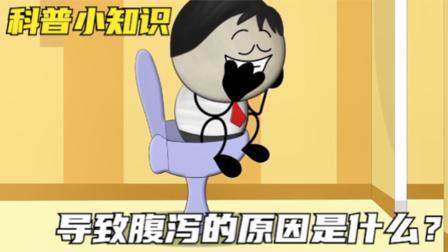 科普动画:导致腹泻的原因