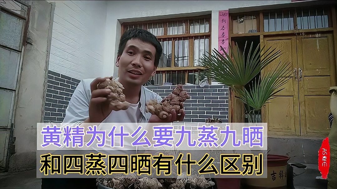 黄精九蒸九晒有什么作用,野生黄精的多重出一斤干货你知道吗