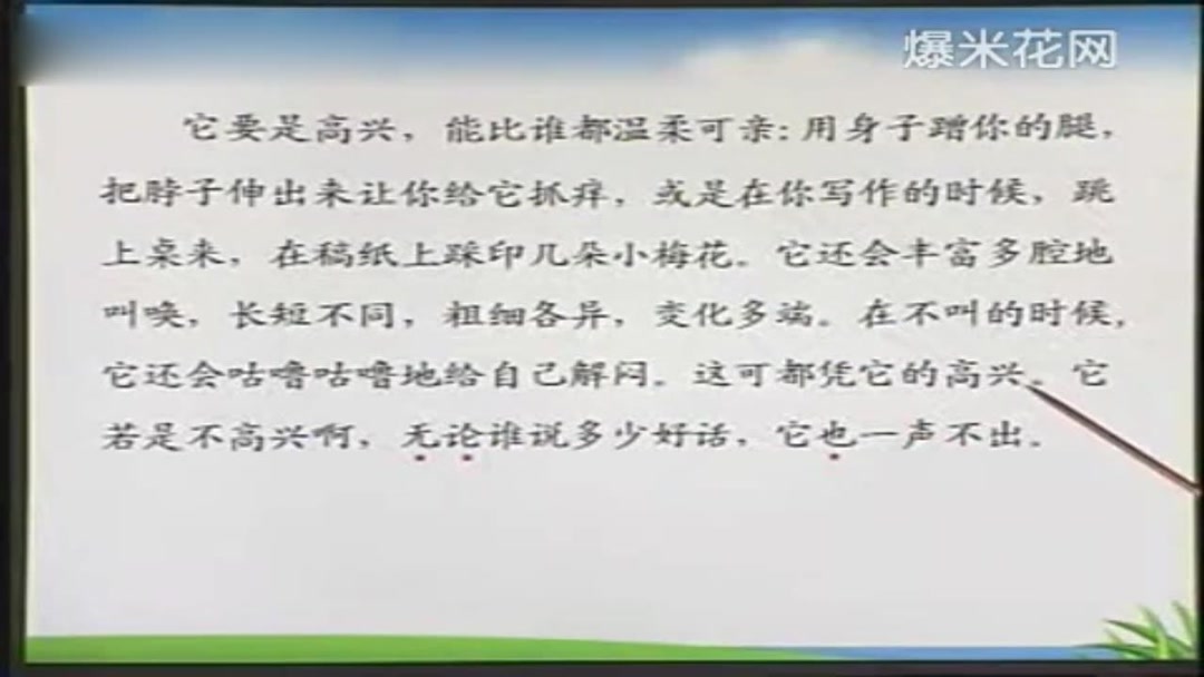 猫-四年级语文上册_同步视频辅导