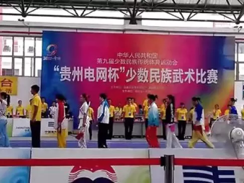 第九届民族运动会武术比赛视频三