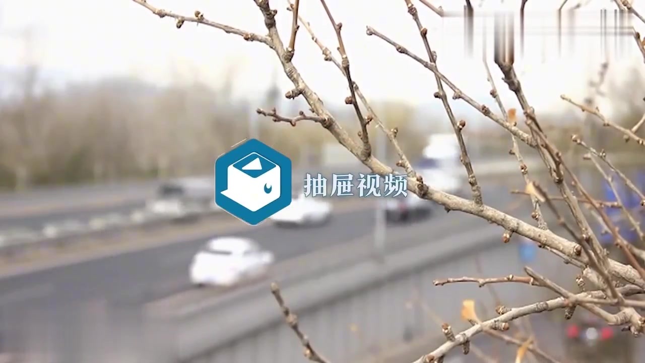 出行注意!北京市发布大雾黄色预警