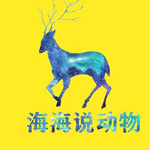 海海说动物 