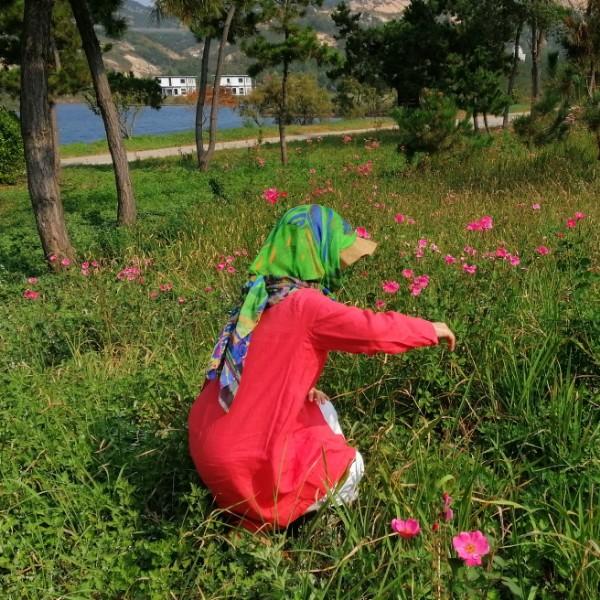 太阳雨36363100 