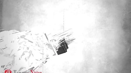 《海鸥手表形象宣传片》
