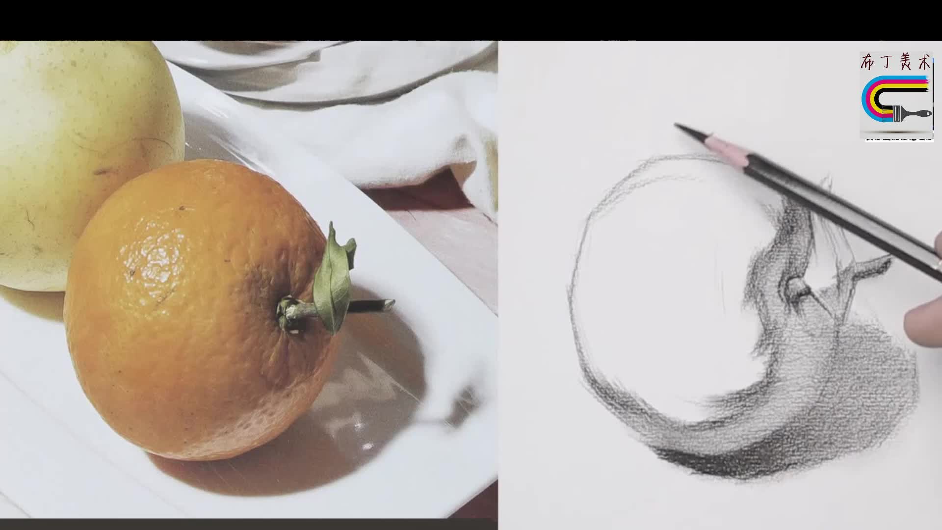 超实用素描静物教程,新手零基础的同学这次千万不要错过这次干货
