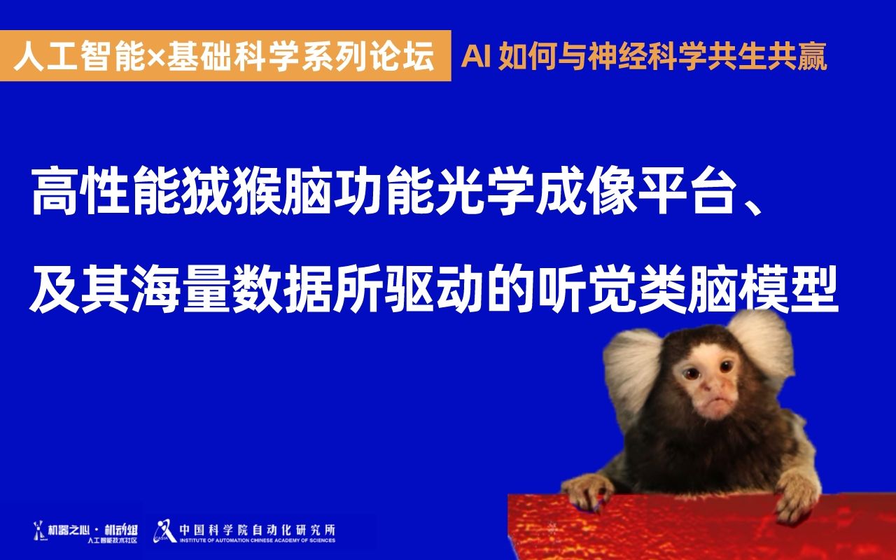 宋欣东:高性能狨猴脑功能光学成像平台、及其海量数据所驱动的听觉...