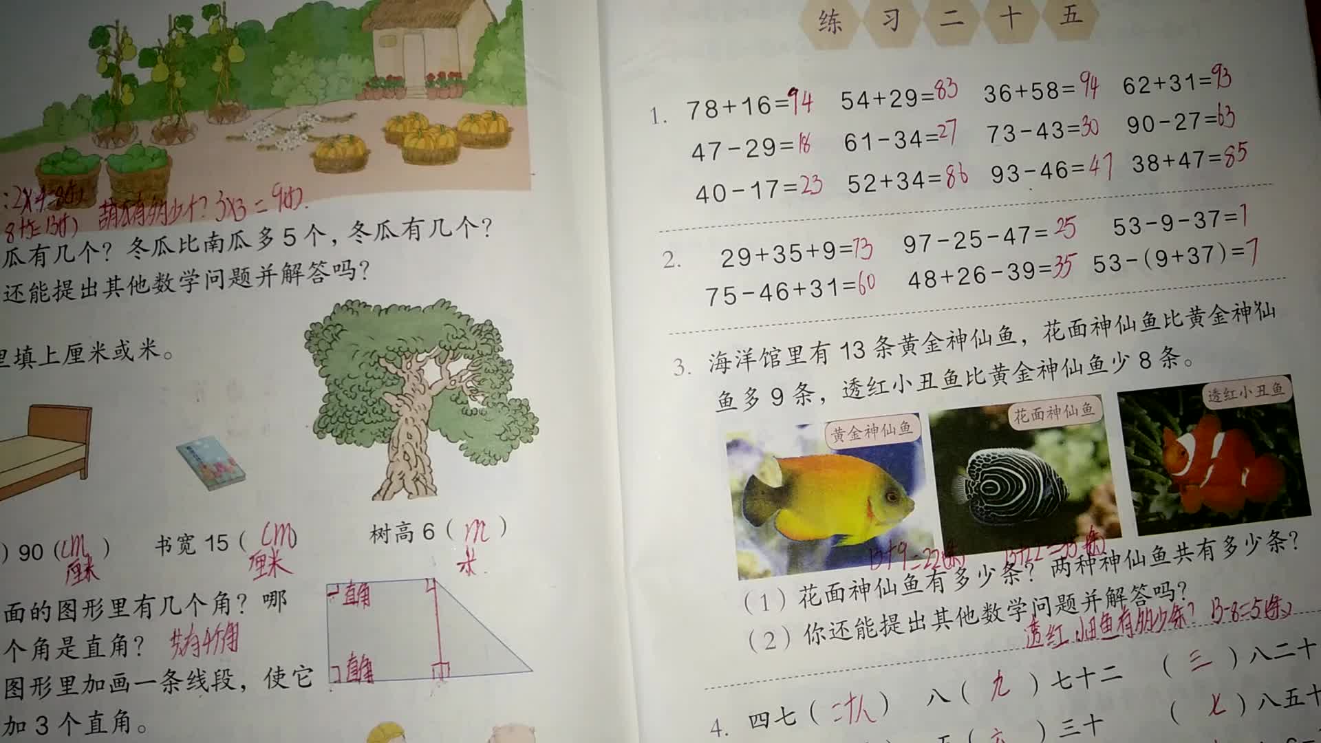二年级数学上册 培优课堂 25 总复习 知识易解