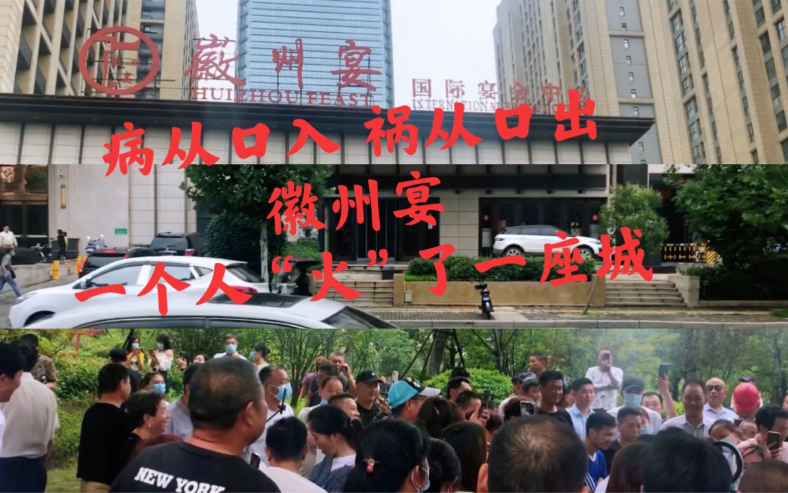 蚌埠因为徽州宴老板娘而“火”,徽州宴老板娘因狗而“火”,徽州宴...