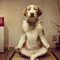 茶余饭后聊是非 