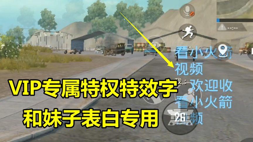 和平精英:和妹子表白的小技巧,聊天框输入这个字,能加大成功率