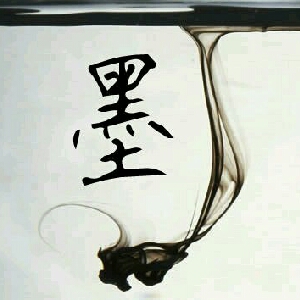孤泓踏雪 