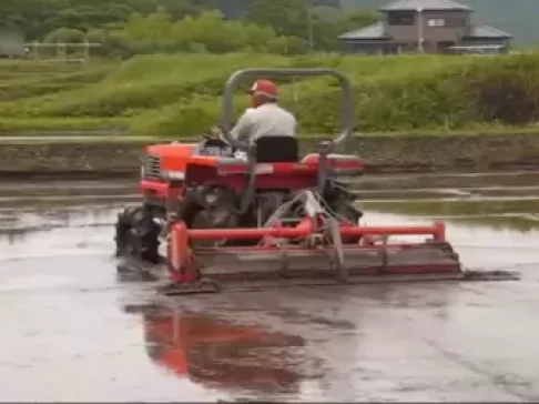 爱剪辑-日本全机械化水稻种植_标清