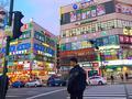 NF王楠 