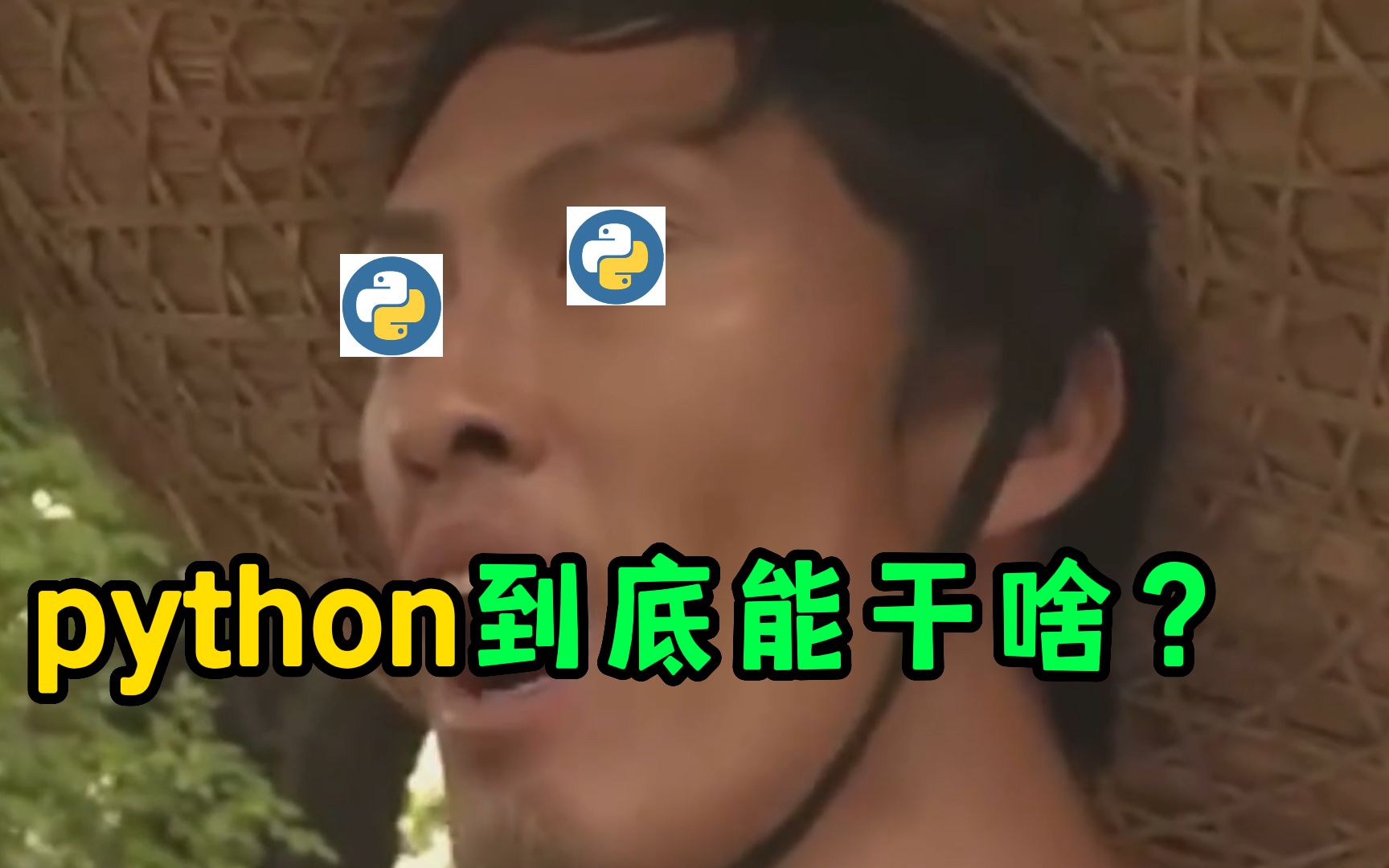 python吹得这么牛,它到底能做什么?