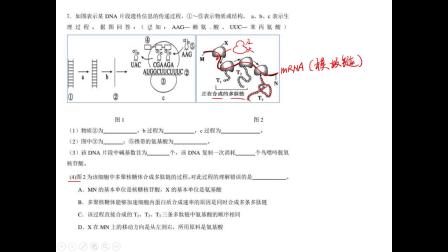 0311基因的表达第七题第4小题讲解.mp4
