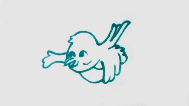 画一只小鸟简笔画,学会了吗?