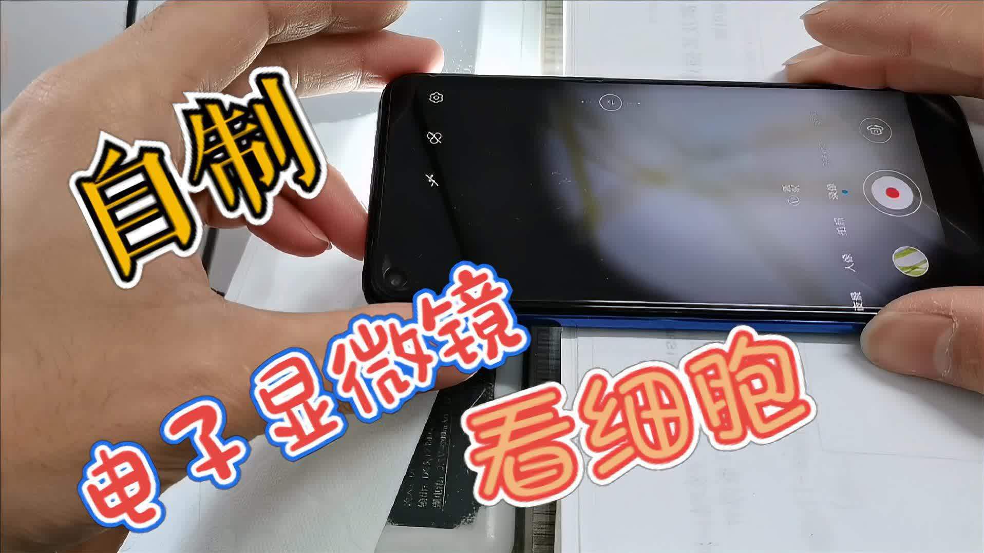 废旧手机的摄像头可以拿来制作电子显微镜|自制手机显微镜