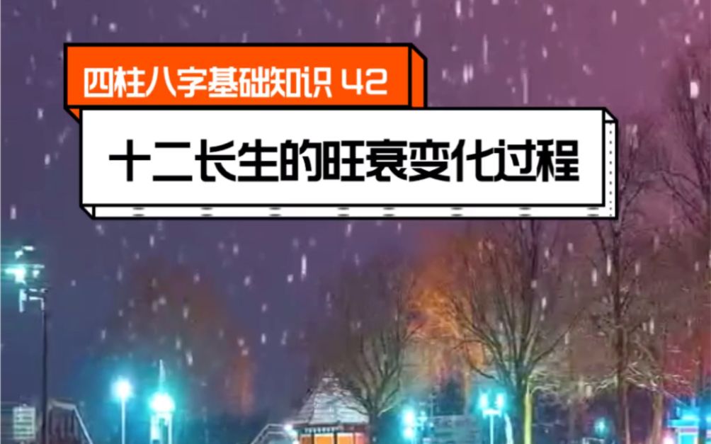 42.十二长生的旺衰发展过程 四柱八字基础知识