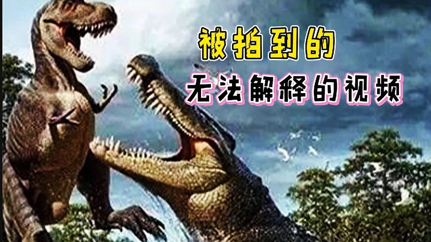 被拍到的无法解释的视频 科普 未解之谜 未知生物 神秘