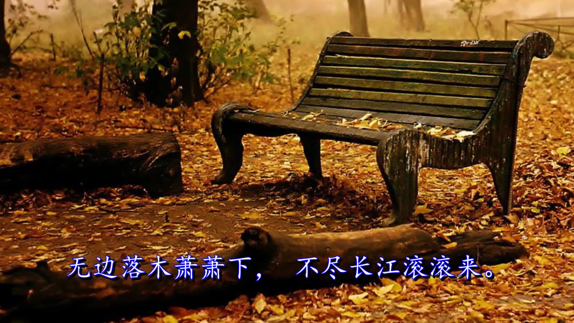 《登高》杜甫 视频朗诵