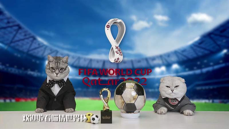 喵猜世界杯,英格兰和伊朗你支持谁 dou来世界杯 上抖音看世界杯