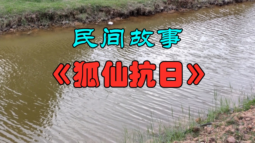 民间故事《狐仙抗日》狐仙都来抗日,可见日本侵略中国注定失败