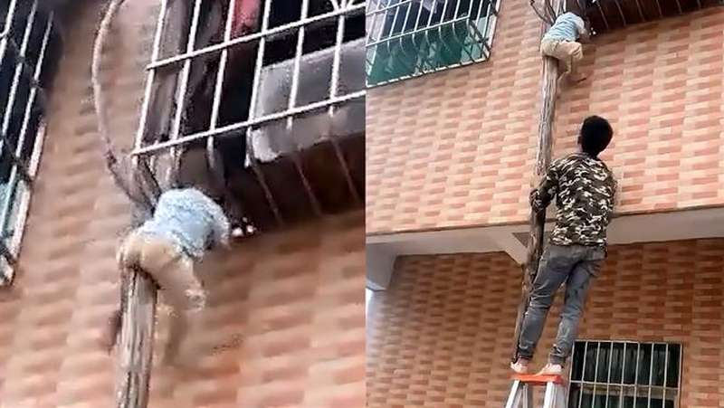 ...工人余森和工友,还有一名路人紧急施救。他们一个站在梯子上用木棍...