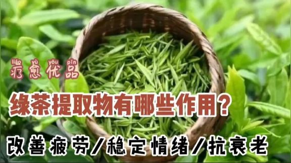 绿茶提取物的功效有这么多的功效,你是否知道?