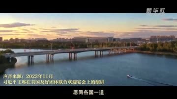 不可阻挡的步伐|和平发展开辟新局