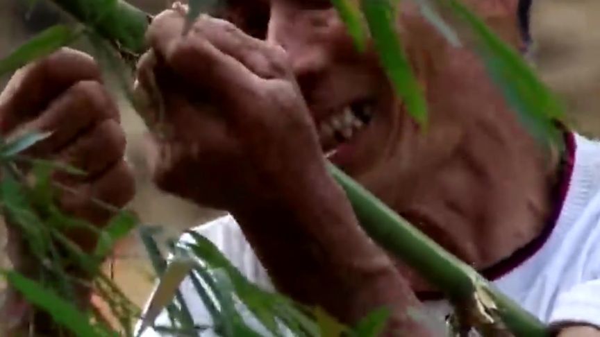 自动钓鱼,传承千年的绝技!果然是几千年的智慧啊