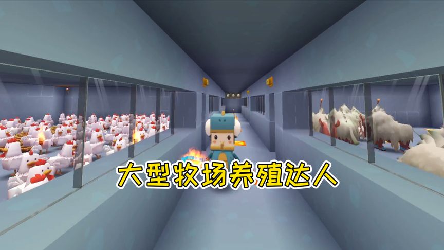 迷你世界生存冒险85:养殖大户皮皮余地下牧场,养那么多鸡不下蛋