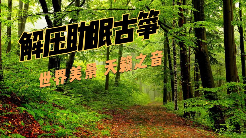 【解压助眠古筝】我家洗砚池头树,朵朵花开淡墨痕
