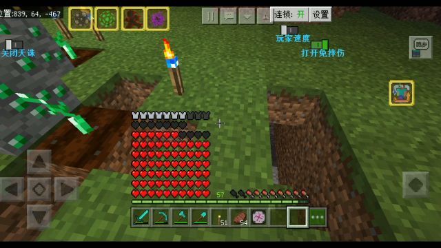 网易我的世界变形 等价交换矿石种子加速火把声存。