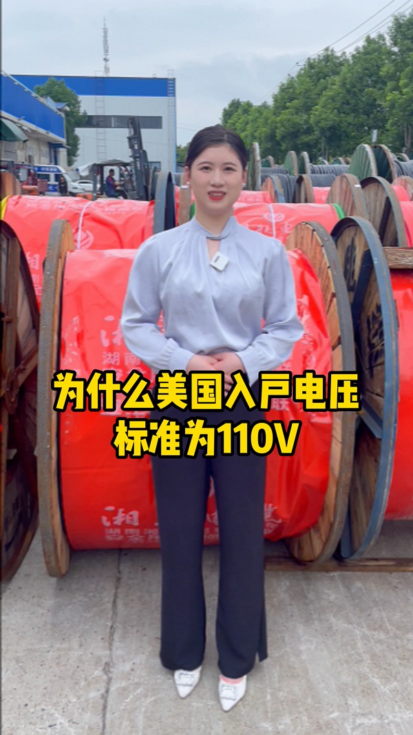 入户电压标准#安全用电你我湘联#国标电缆