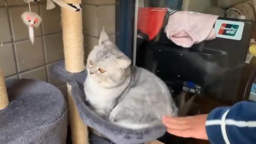 也不知道客人对我们的服务,满不满意