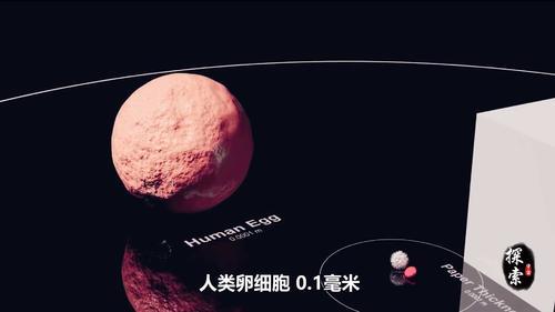 带你从微观尺度了解宇宙到底有多大,看完将彻底颠覆你的认知!