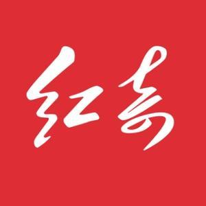 红奇影视 